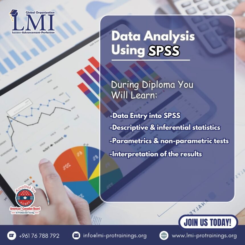 LMI GLOBAL ORGANIZATION